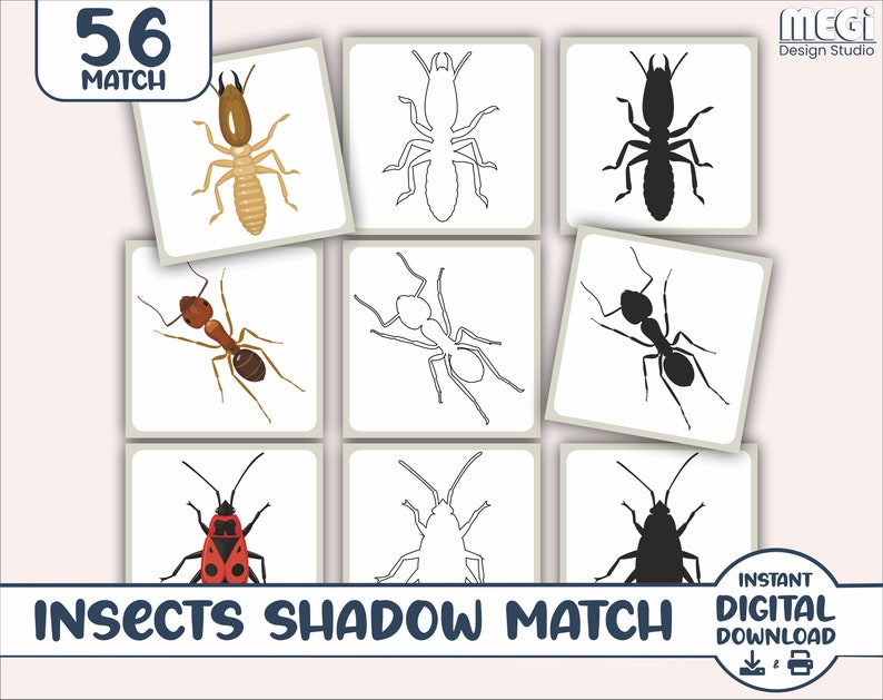 Insect Shadow Match Game With Realistic Pictures 28 Insect - Etsy