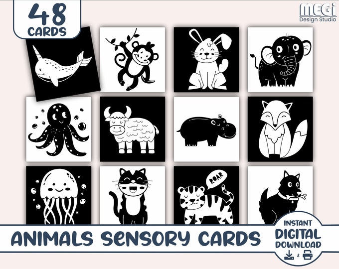 Black and White High Contrast Baby Sensory Cards Animals 48 Cards ...