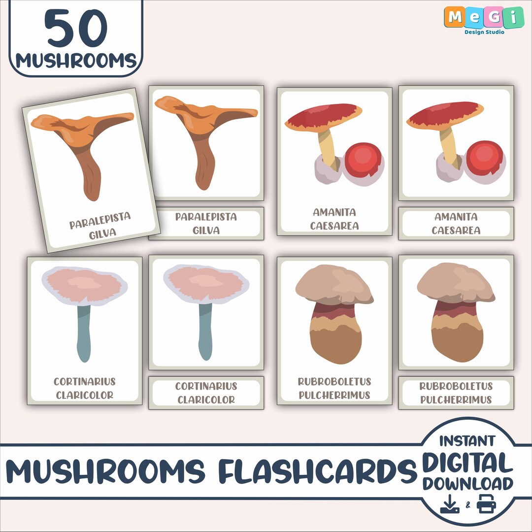 Mushrooms Flashcards - 3 Part Cards for Kids - Learning Mushrooms ...