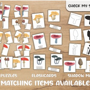 Educational Mushroom Numbers Flashcards and Worksheets Learn | Etsy