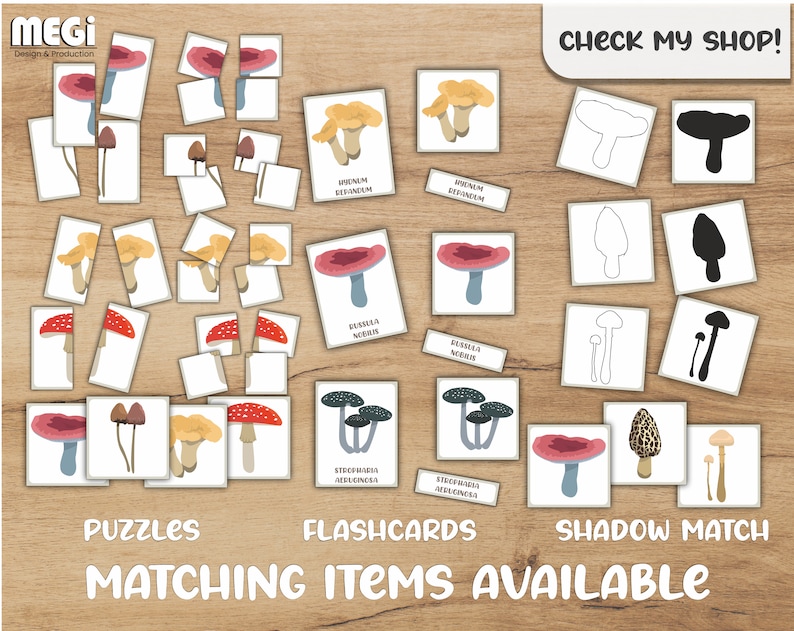 Educational Mushroom Numbers Flashcards and Worksheets Learn | Etsy