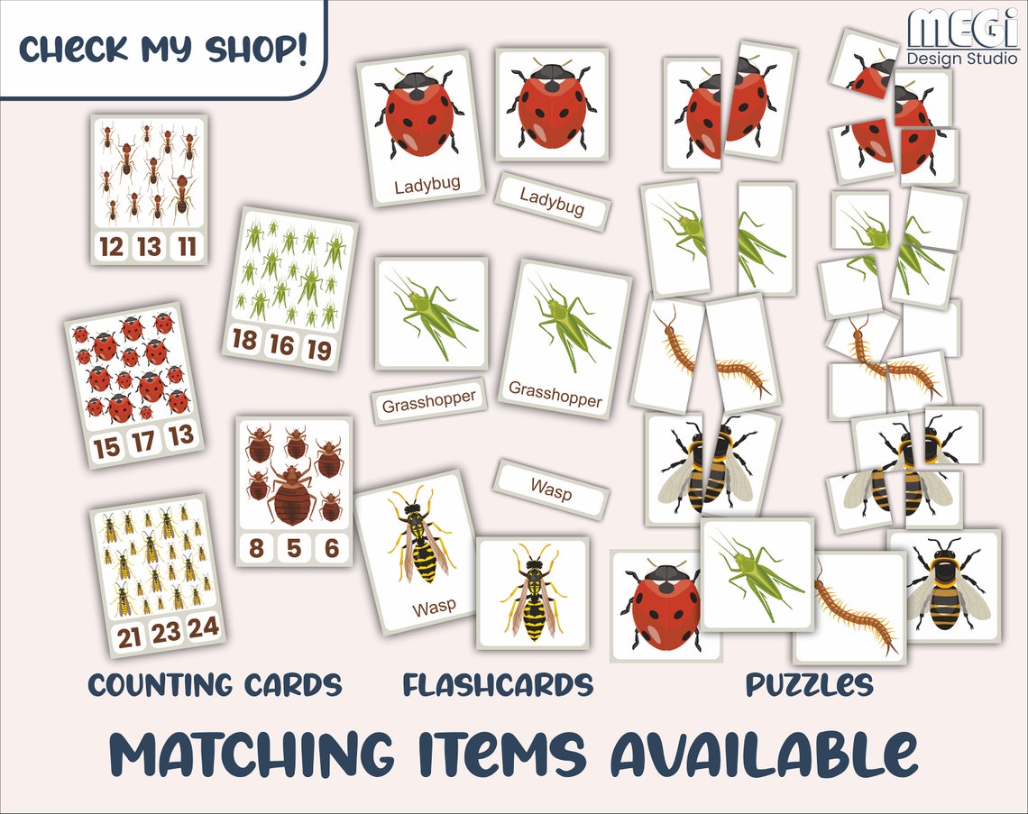 Insect Shadow Match Game With Realistic Pictures 28 Insect - Etsy