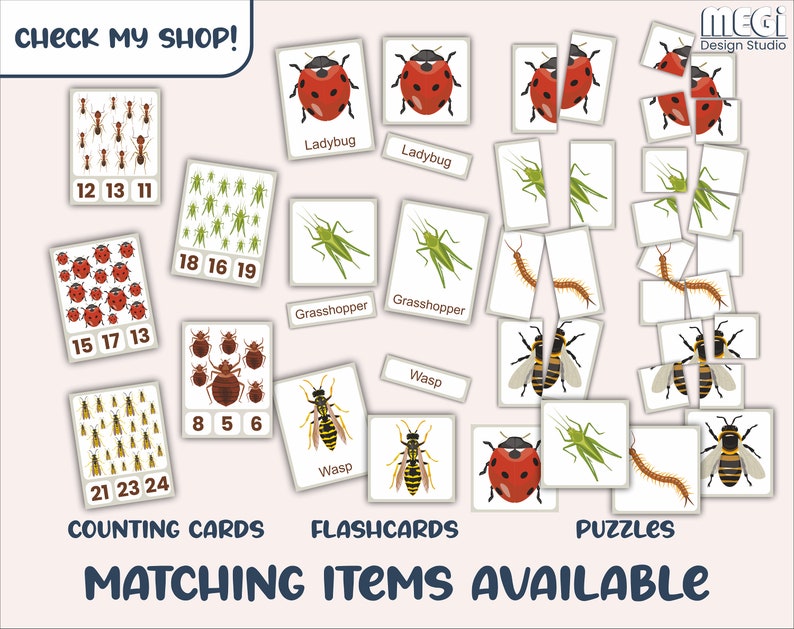 Insect Shadow Match Game With Realistic Pictures 28 Insect - Etsy