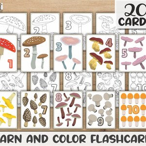 Educational Mushroom Numbers Flashcards and Worksheets Learn | Etsy