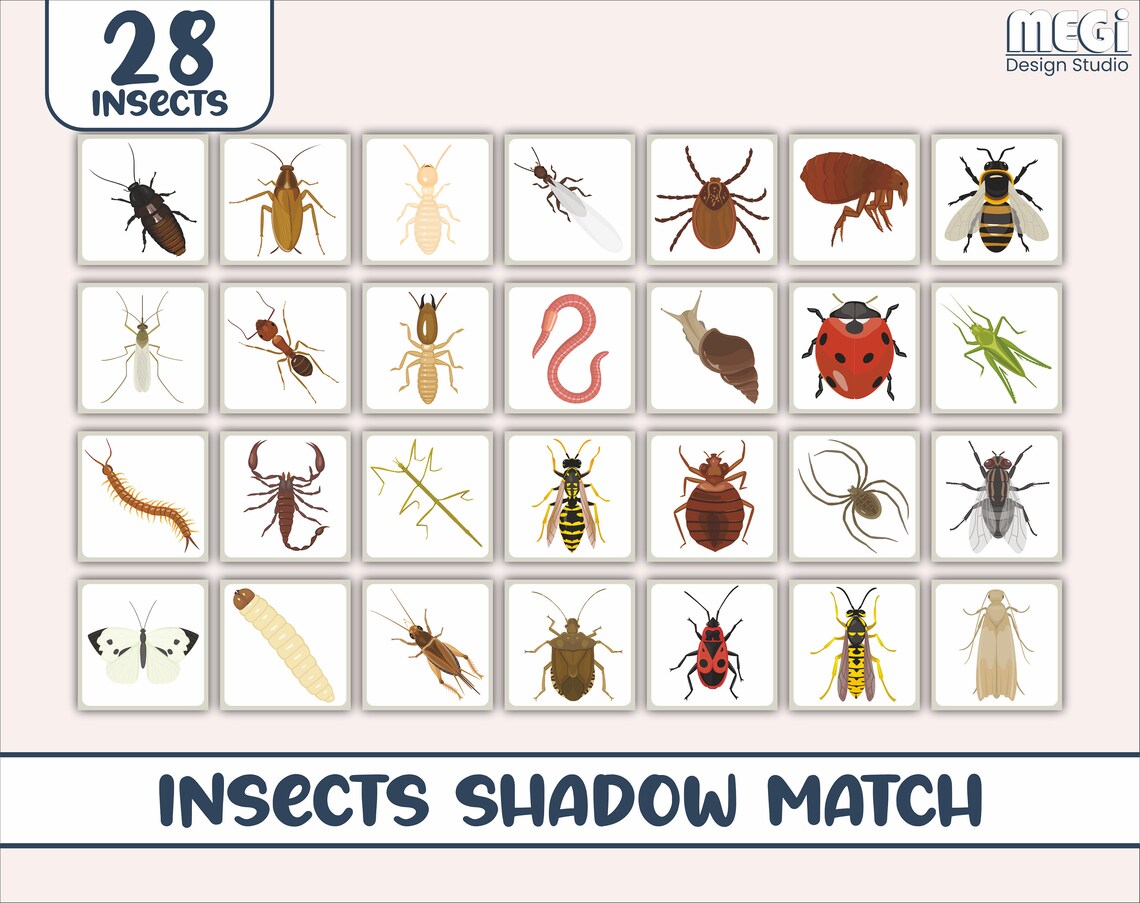 Insect Shadow Match Game With Realistic Pictures 28 Insect - Etsy
