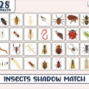 Insect Shadow Match Game With Realistic Pictures 28 Insect - Etsy