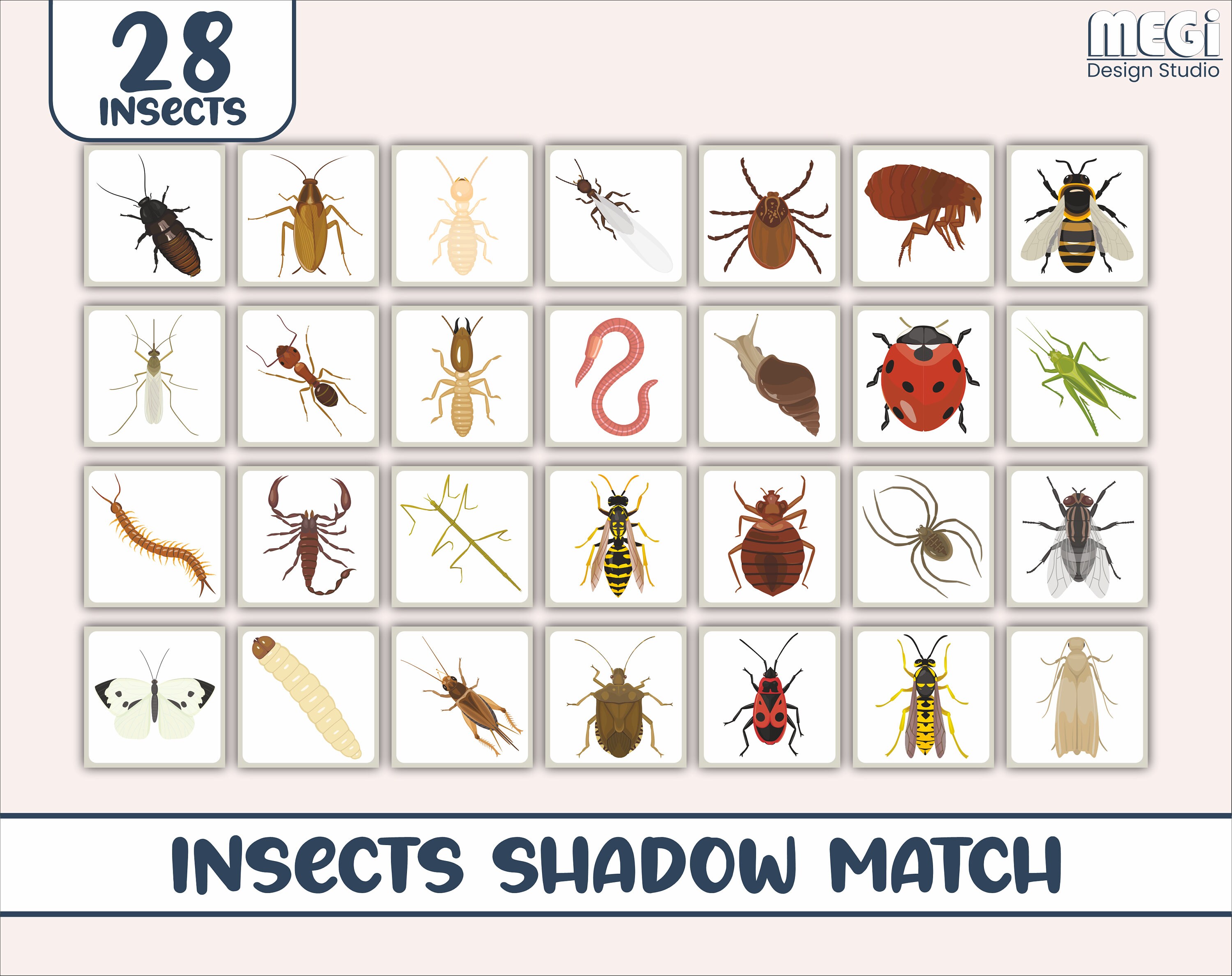 Insect Shadow Match Game With Realistic Pictures 28 Insect - Etsy