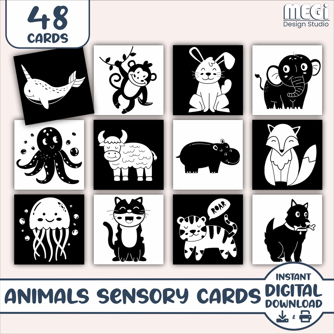 Black and White High Contrast Baby Sensory Cards - Animals - 48 Cards ...