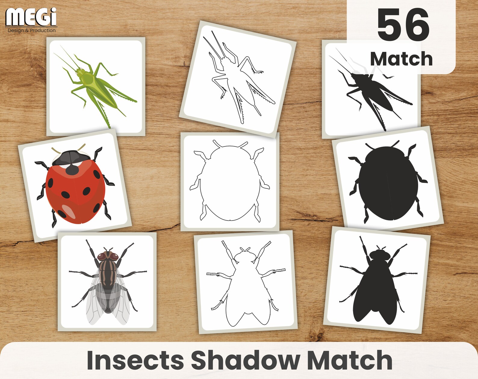 Insect Shadow Match Game With Realistic Pictures 28 Insect | Etsy