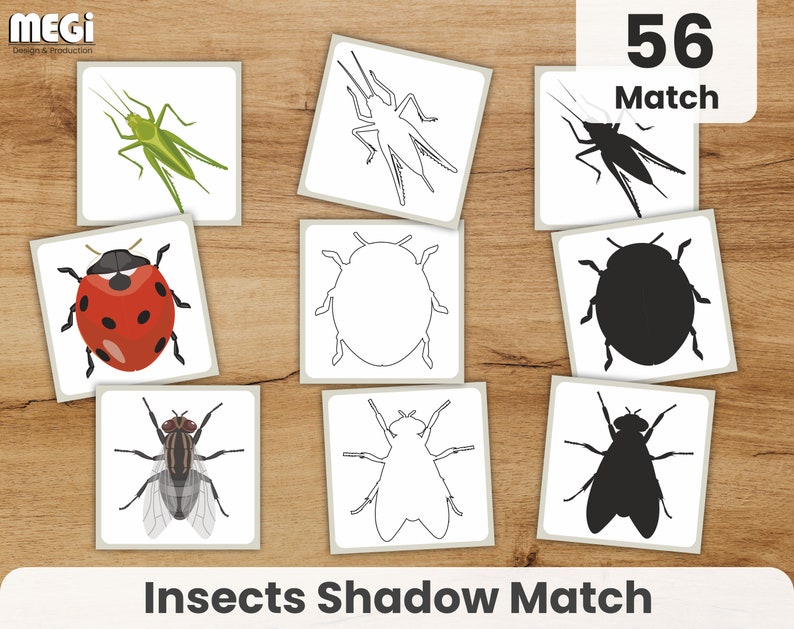 Insect Shadow Match Game With Realistic Pictures 28 Insect | Etsy