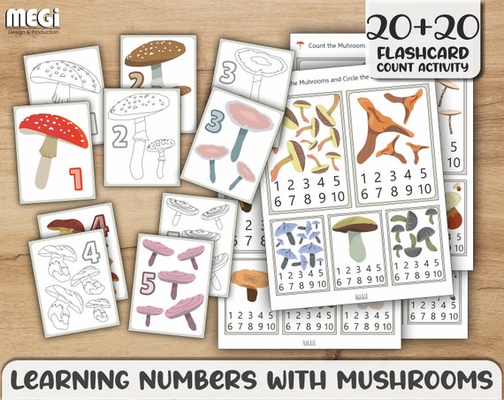 Educational Mushroom Numbers Flashcards and Worksheets Learn | Etsy