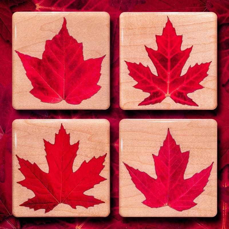 Leaf Coasters - Etsy