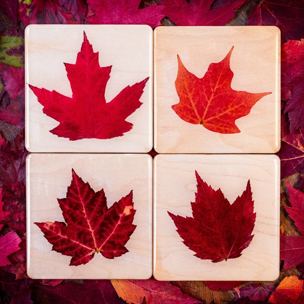 Canadian Maple Leaf - Etsy