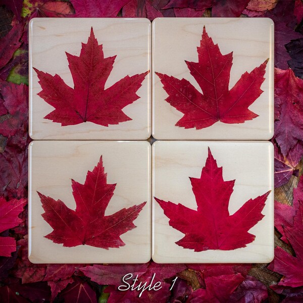 Real Maple Leaf - Etsy