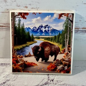 Scenic Bison Coaster, Buffalo Coaster, Ranch Decor, Bison Gift, Buffalo ...