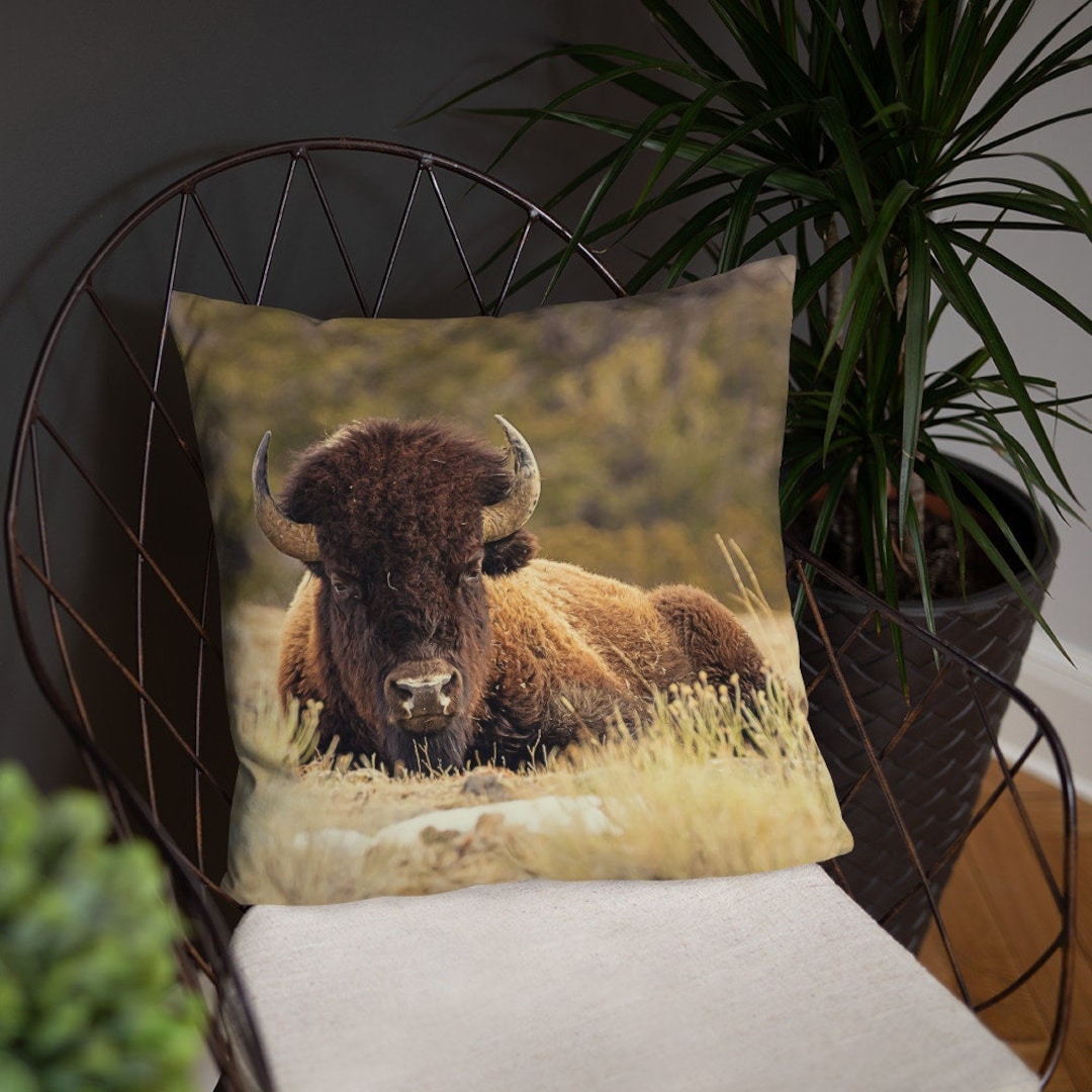 Bison Sage Throw Pillow - Etsy