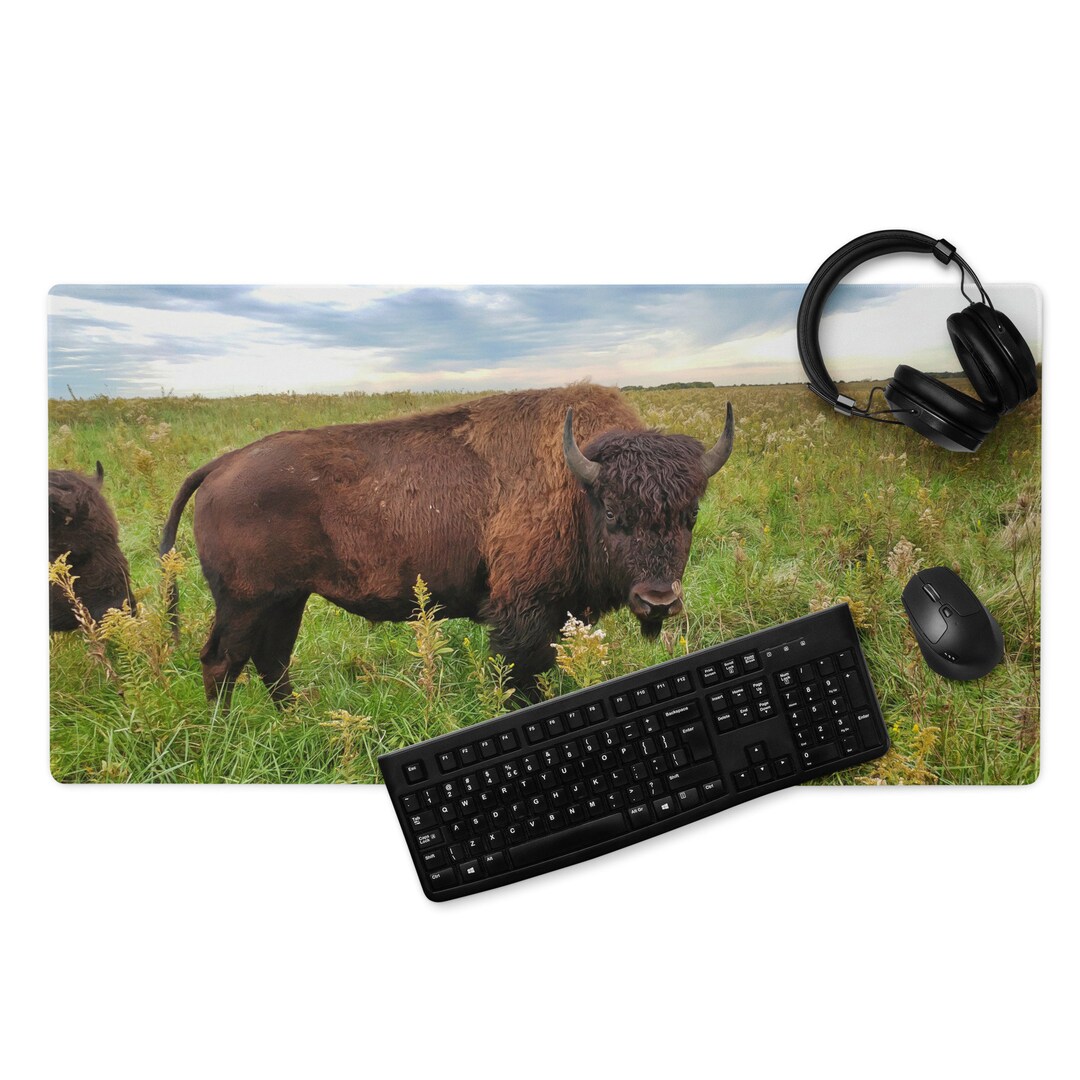Rangeland Bison Gaming Mouse Pad - Etsy