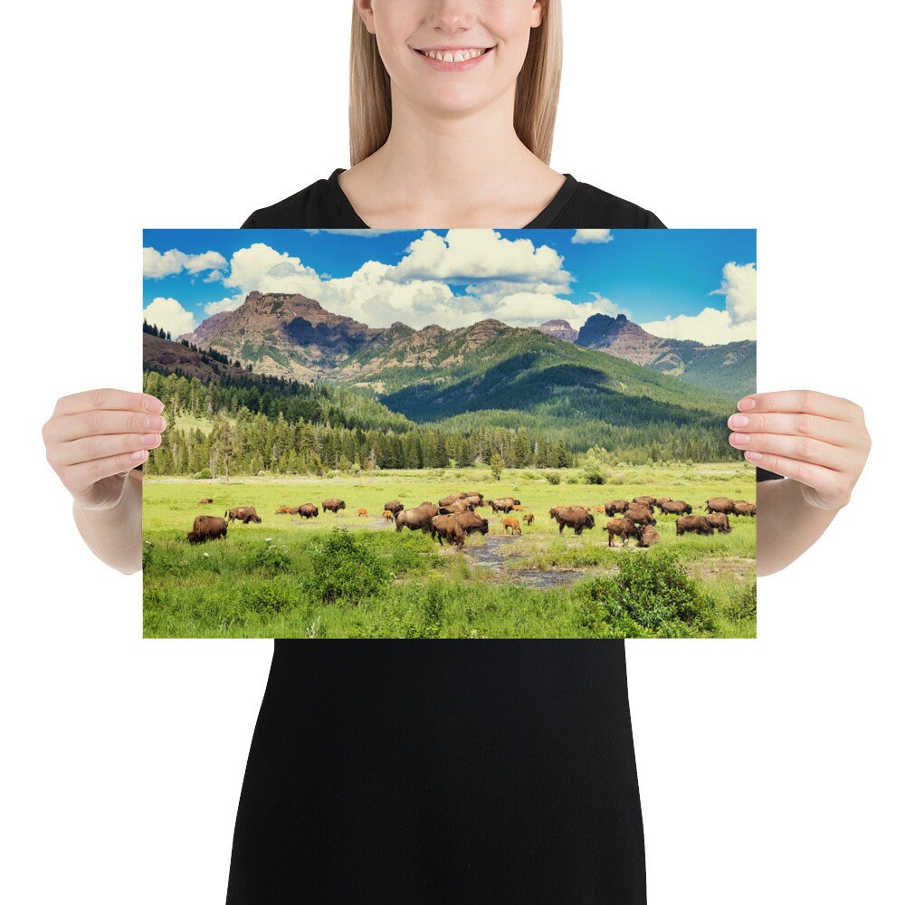 Bison Valley Bison Poster Buffalo Poster Yellowstone Art - Etsy