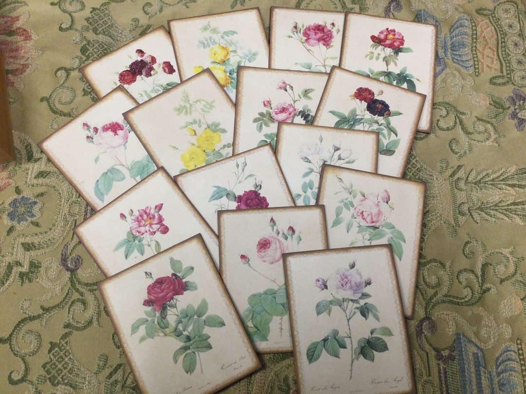 Botanical Cards - Etsy