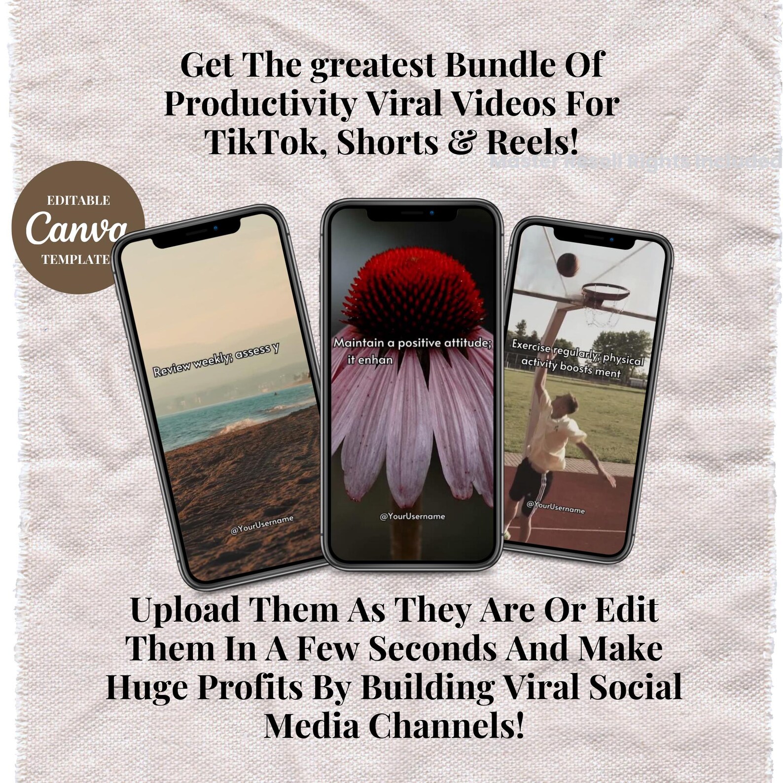 Productivity Viral Videos Bundle | Youtube Shorts, Instagram Reels ...