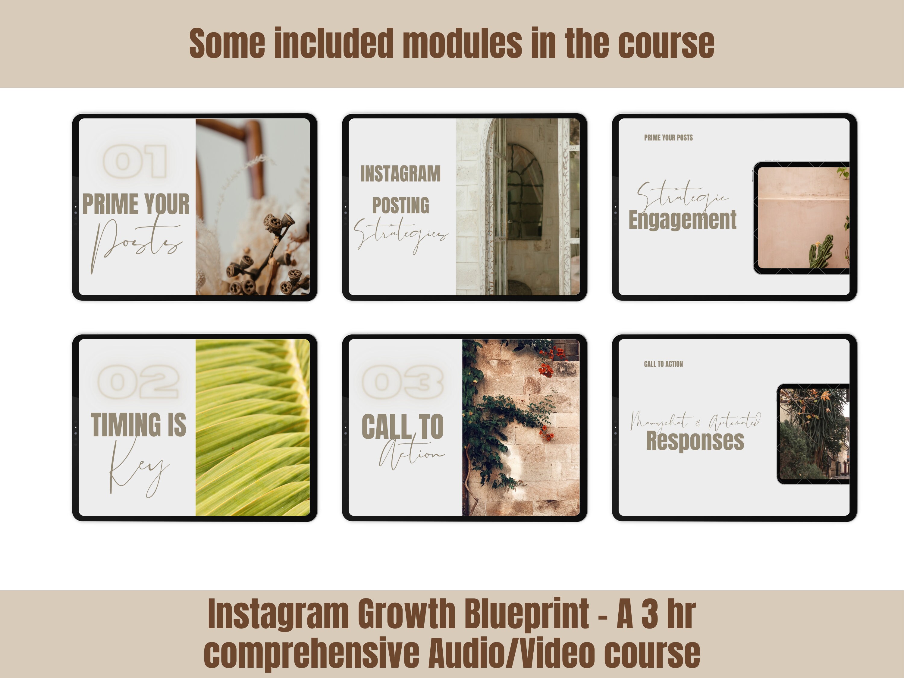 The Instagram Growth Blueprint MRR Course Strategy Guide With Master ...