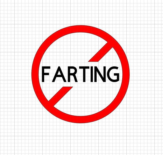 No Farting Vinyl Sticker / Decal - Etsy