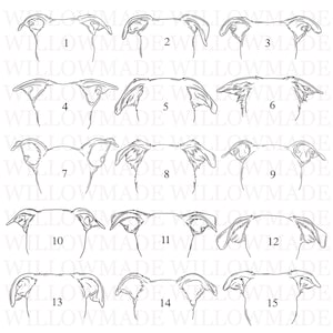 DOG EAR OUTLINES - Pre Drawn Digital Illustrations - Etsy