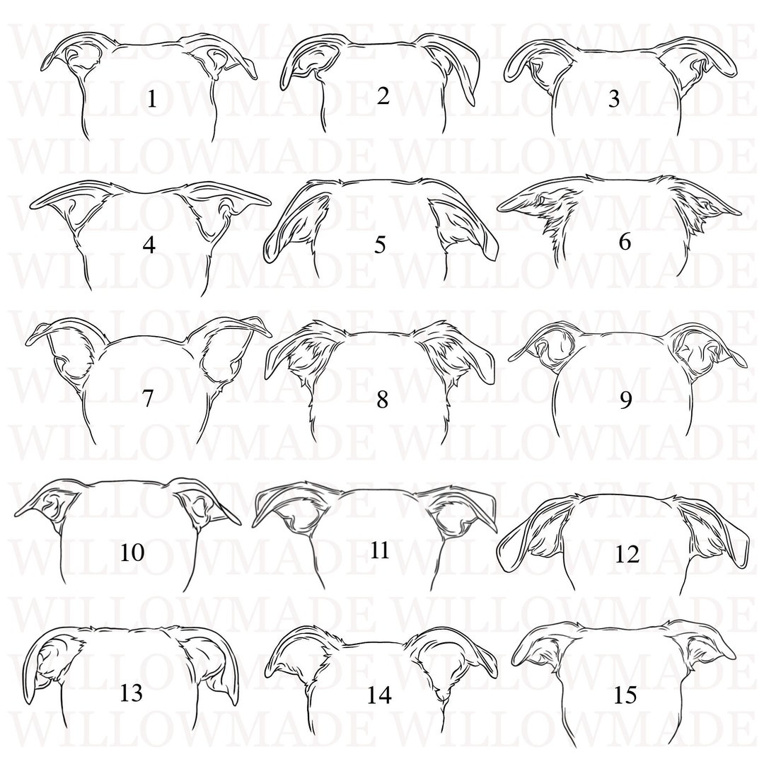 DOG EAR OUTLINES - Pre Drawn Digital Illustrations - Etsy