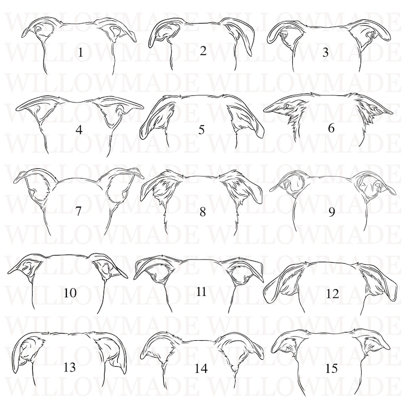 DOG EAR OUTLINES - Pre Drawn Digital Illustrations - Etsy