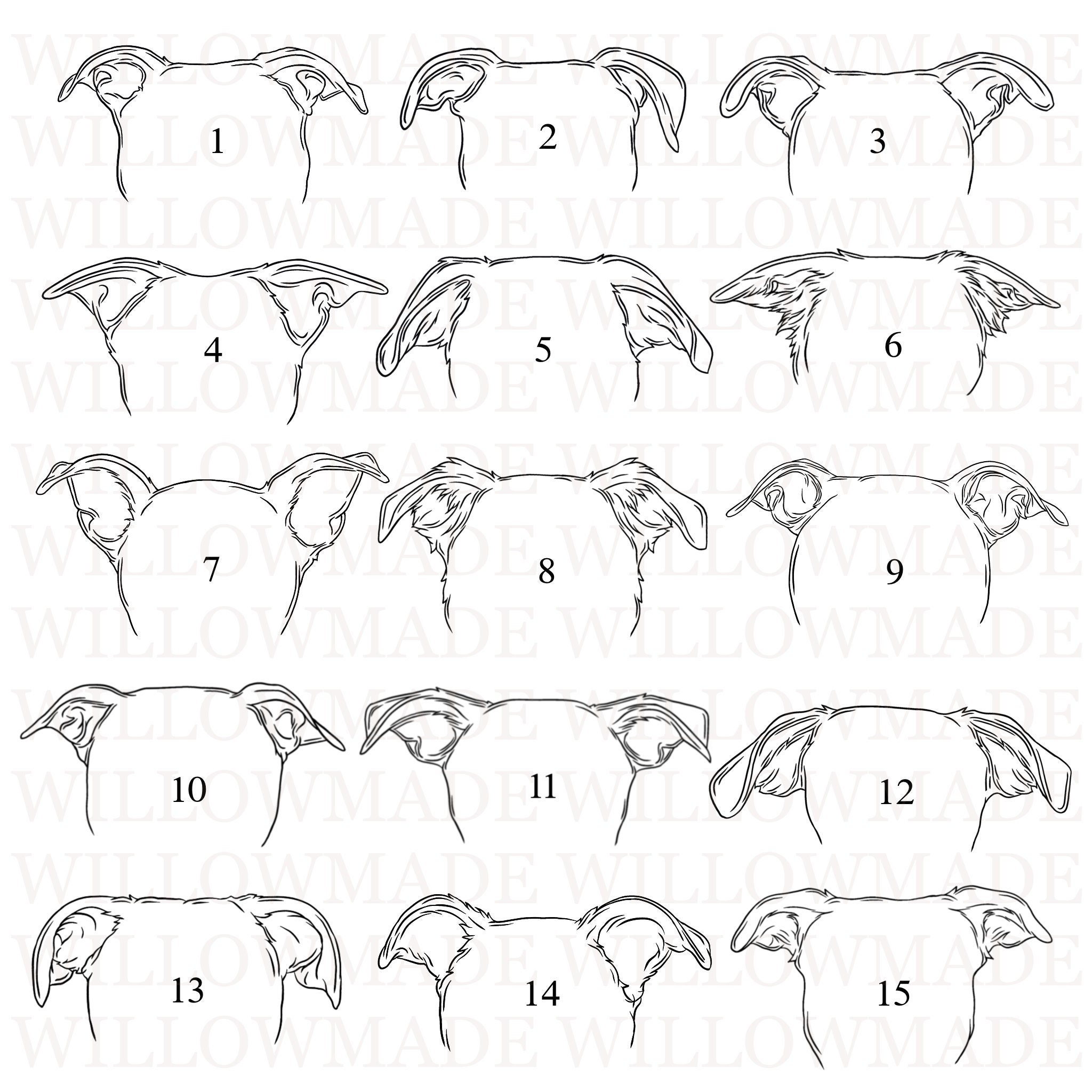 DOG EAR OUTLINES - Pre Drawn Digital Illustrations - Etsy