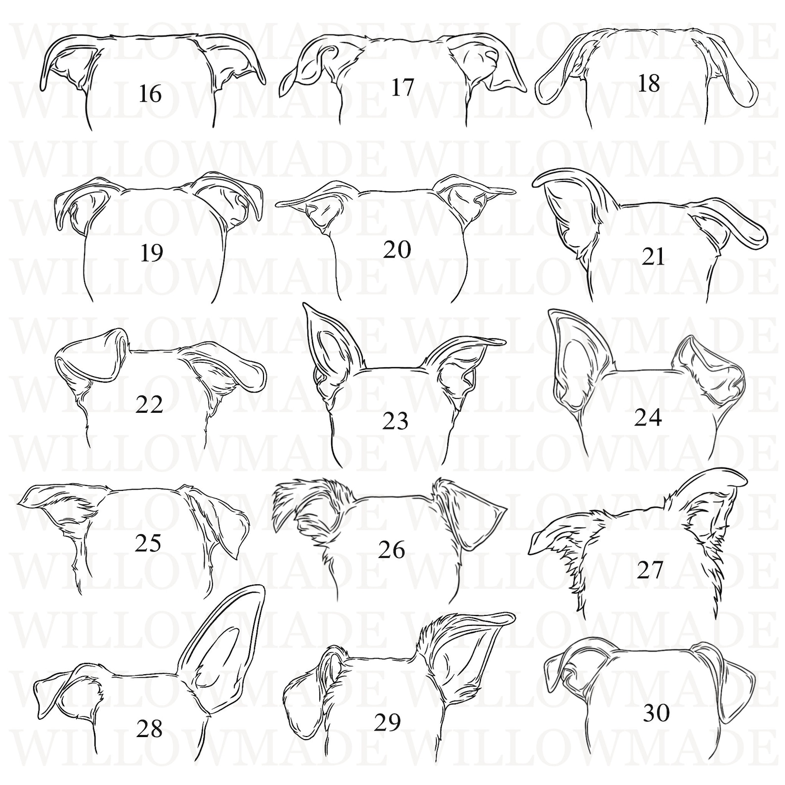 DOG EAR OUTLINES - Pre Drawn Digital Illustrations - Etsy