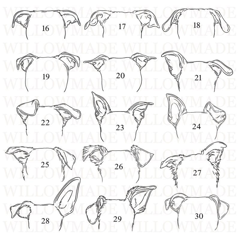 DOG EAR OUTLINES - Pre Drawn Digital Illustrations - Etsy