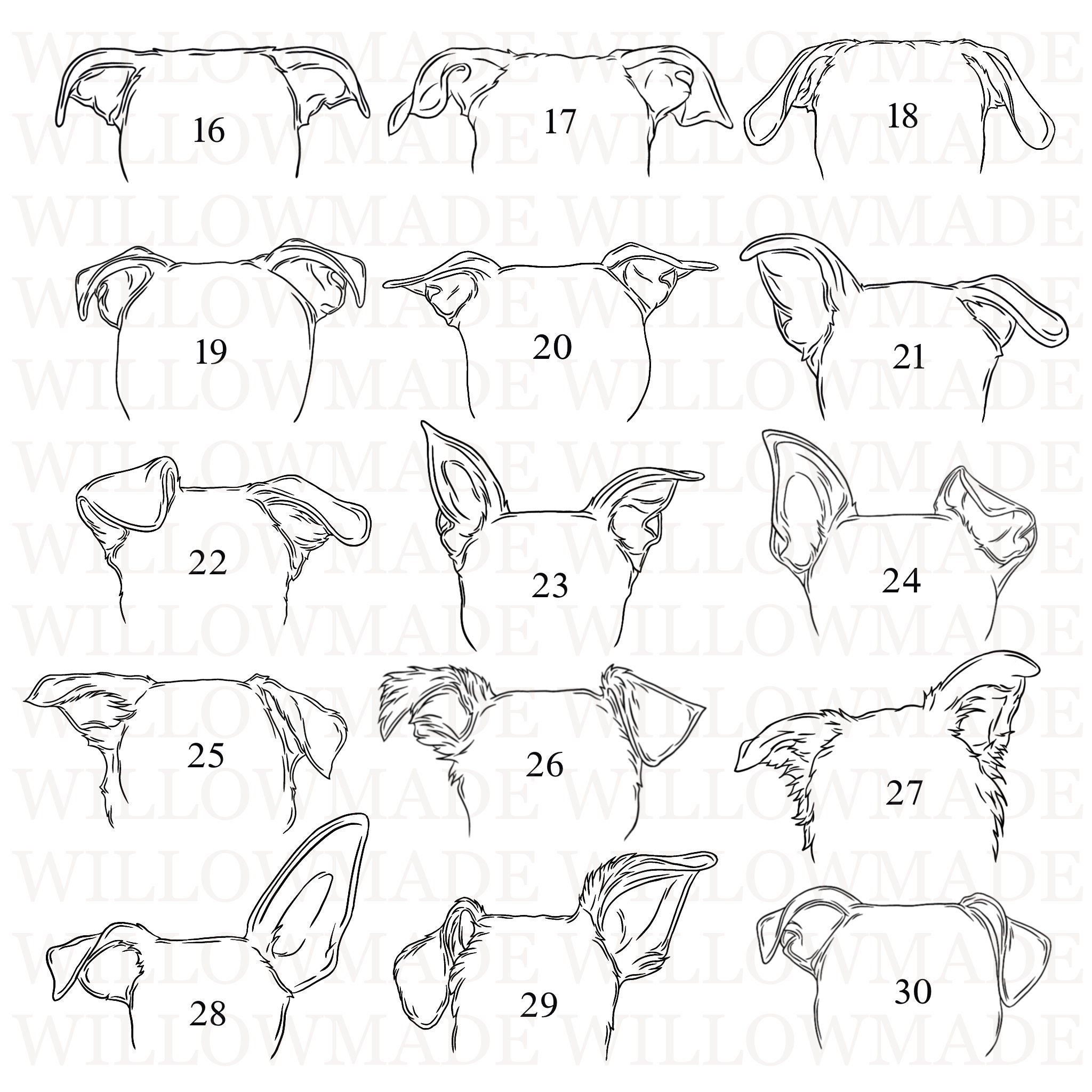 DOG EAR OUTLINES - Pre Drawn Digital Illustrations - Etsy