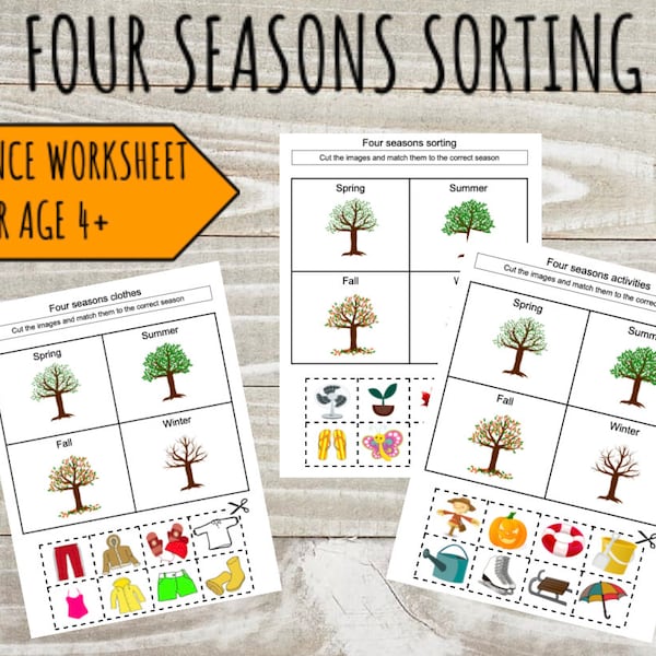 Four Seasons Sorting - Etsy