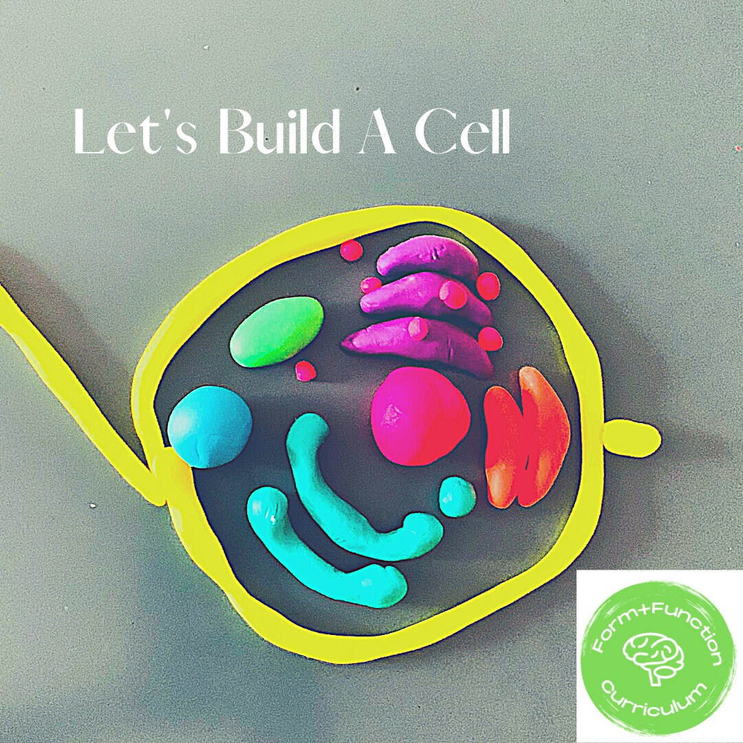 Level 1 Human Cell Unit Study - Etsy