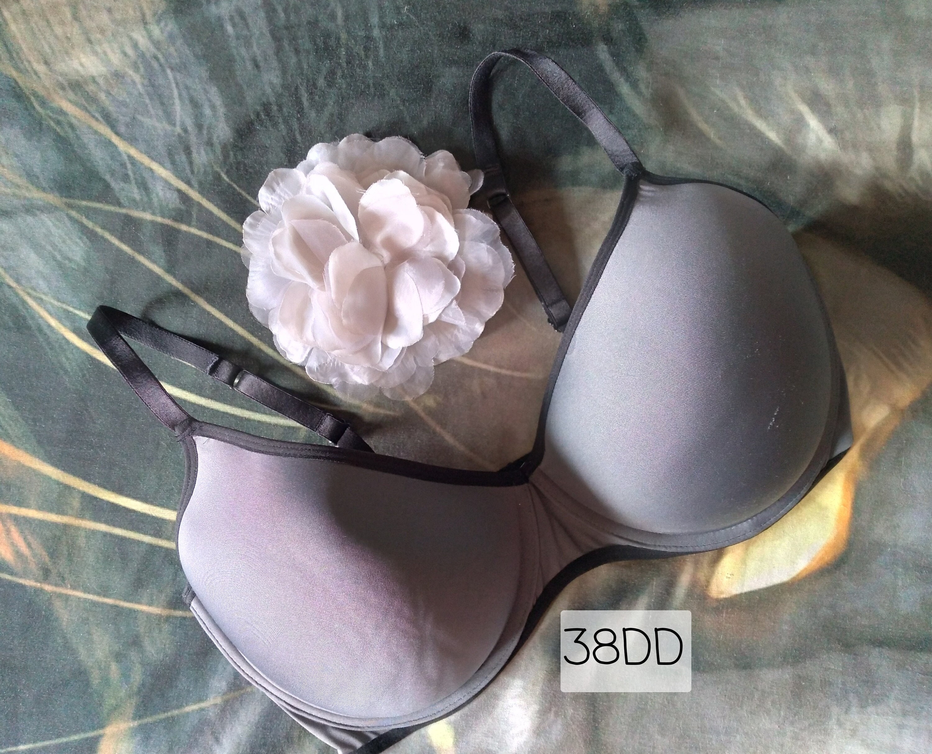38dd Cup Size