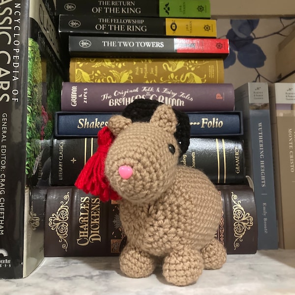 Capybara Graduation - Etsy