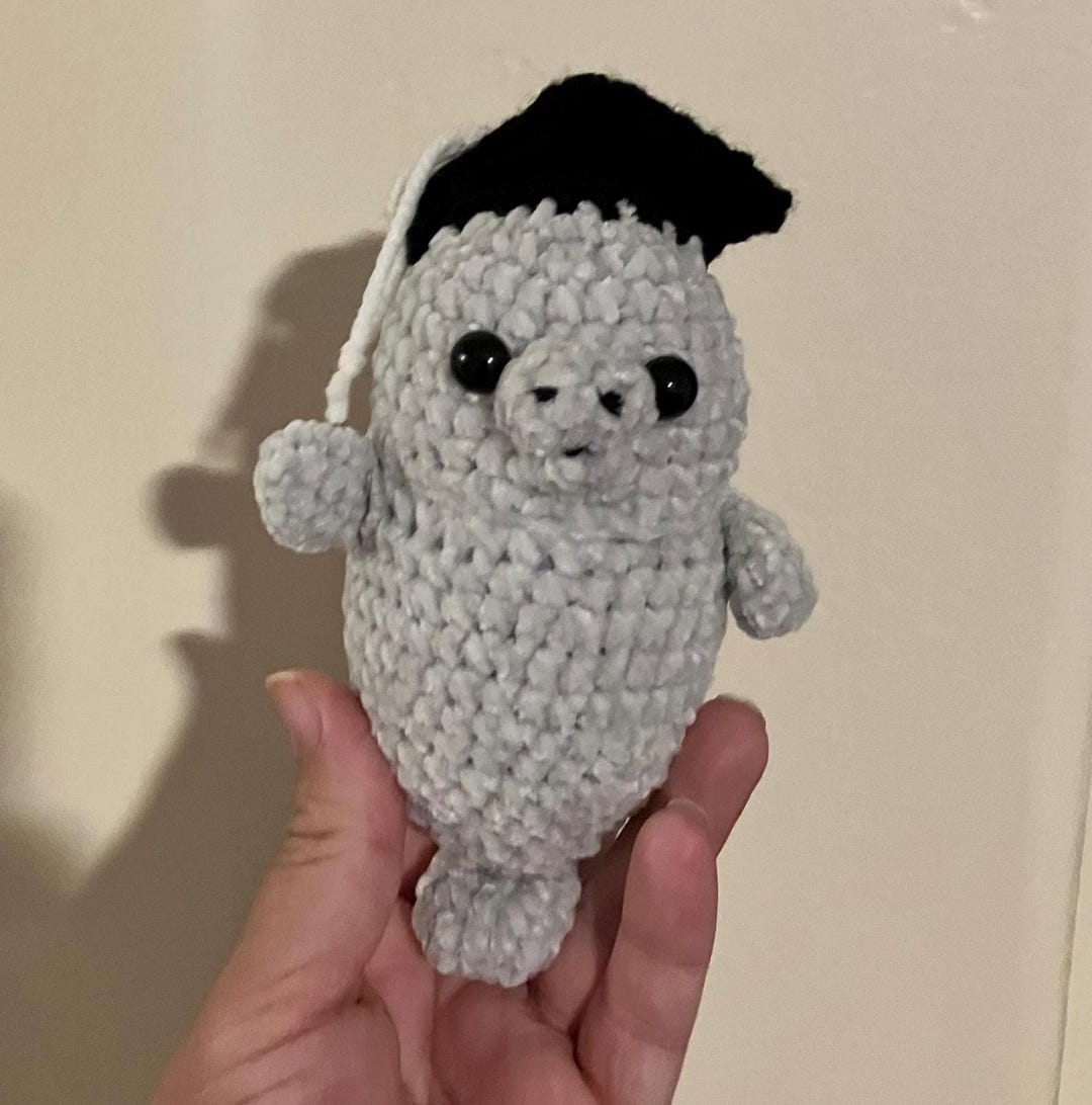Manatee With Hat Crochet Figure - Etsy