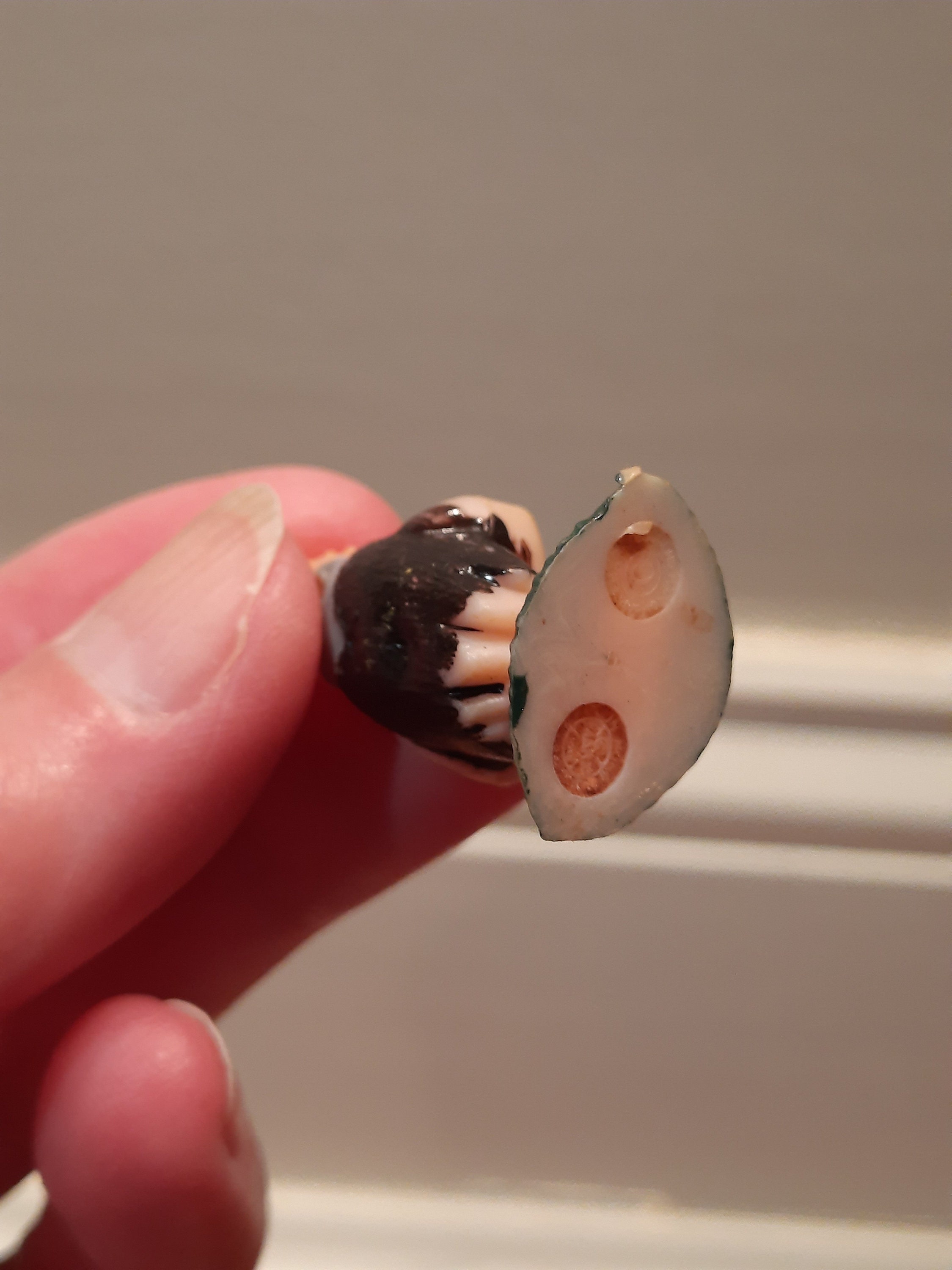 Vintage 1961 Miniature Set of Six "flintstones" Figures, Marx HK-6618 ...