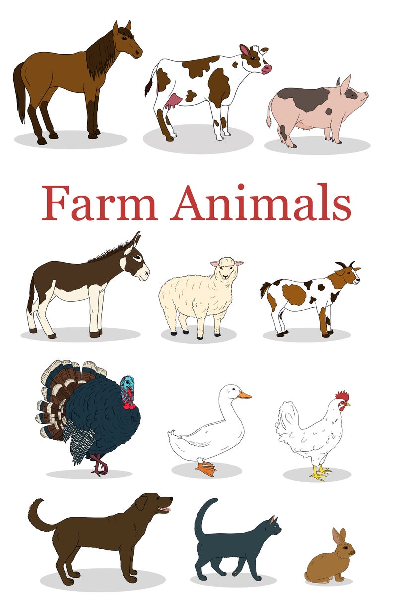 Farm Animals Classroom Poster Instant Download Printable | Etsy Canada