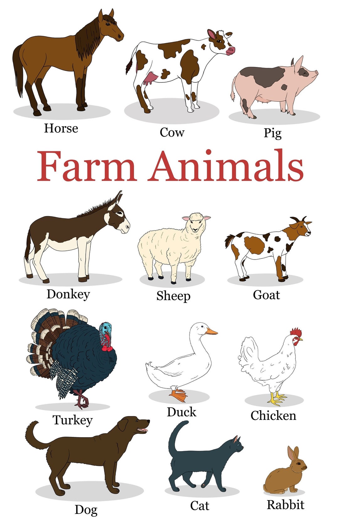 Farm Animals Classroom Poster Instant Download Printable 11x17 ...