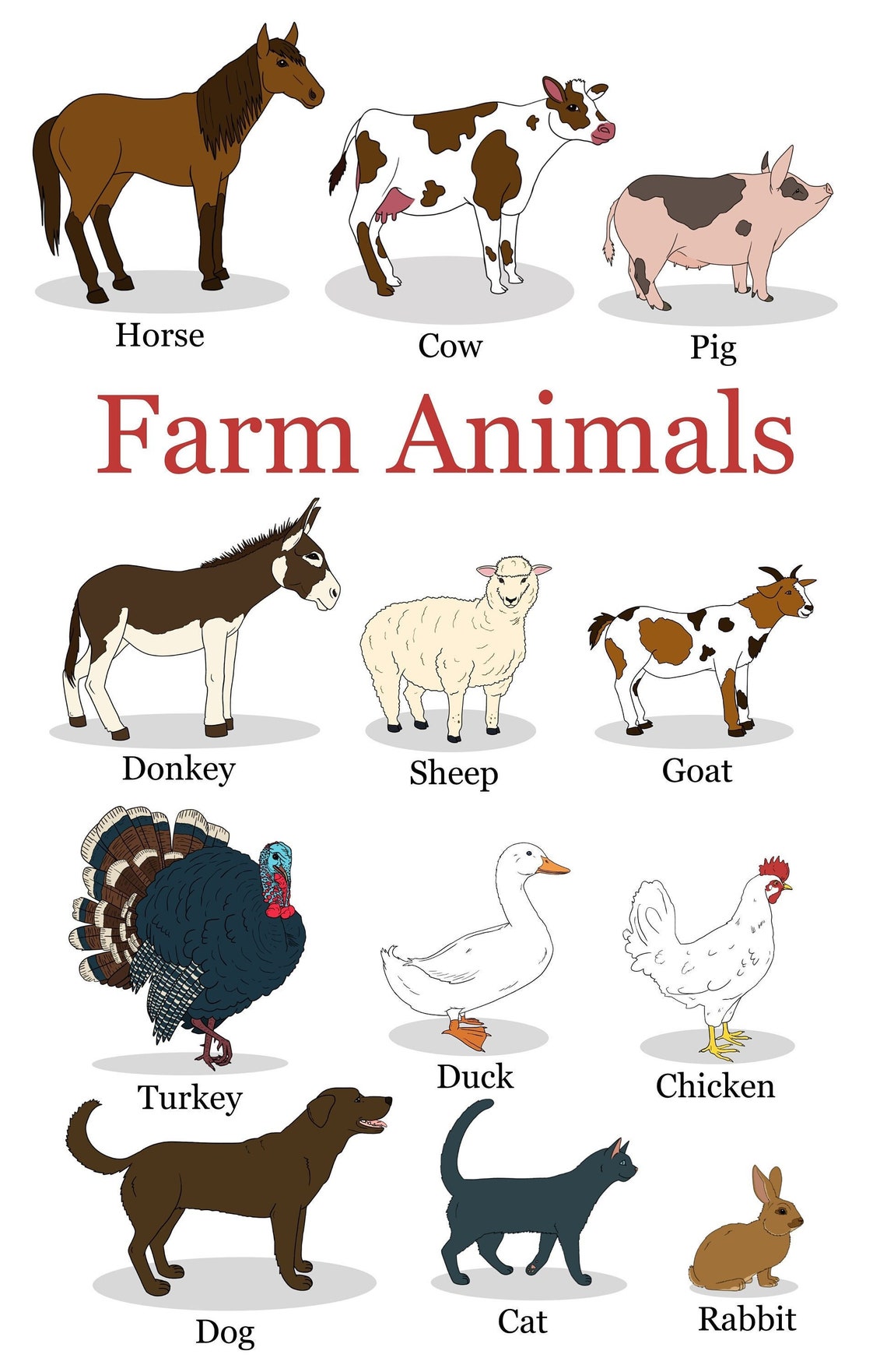 Farm Animals Classroom Poster Instant Download Printable 11x17 ...