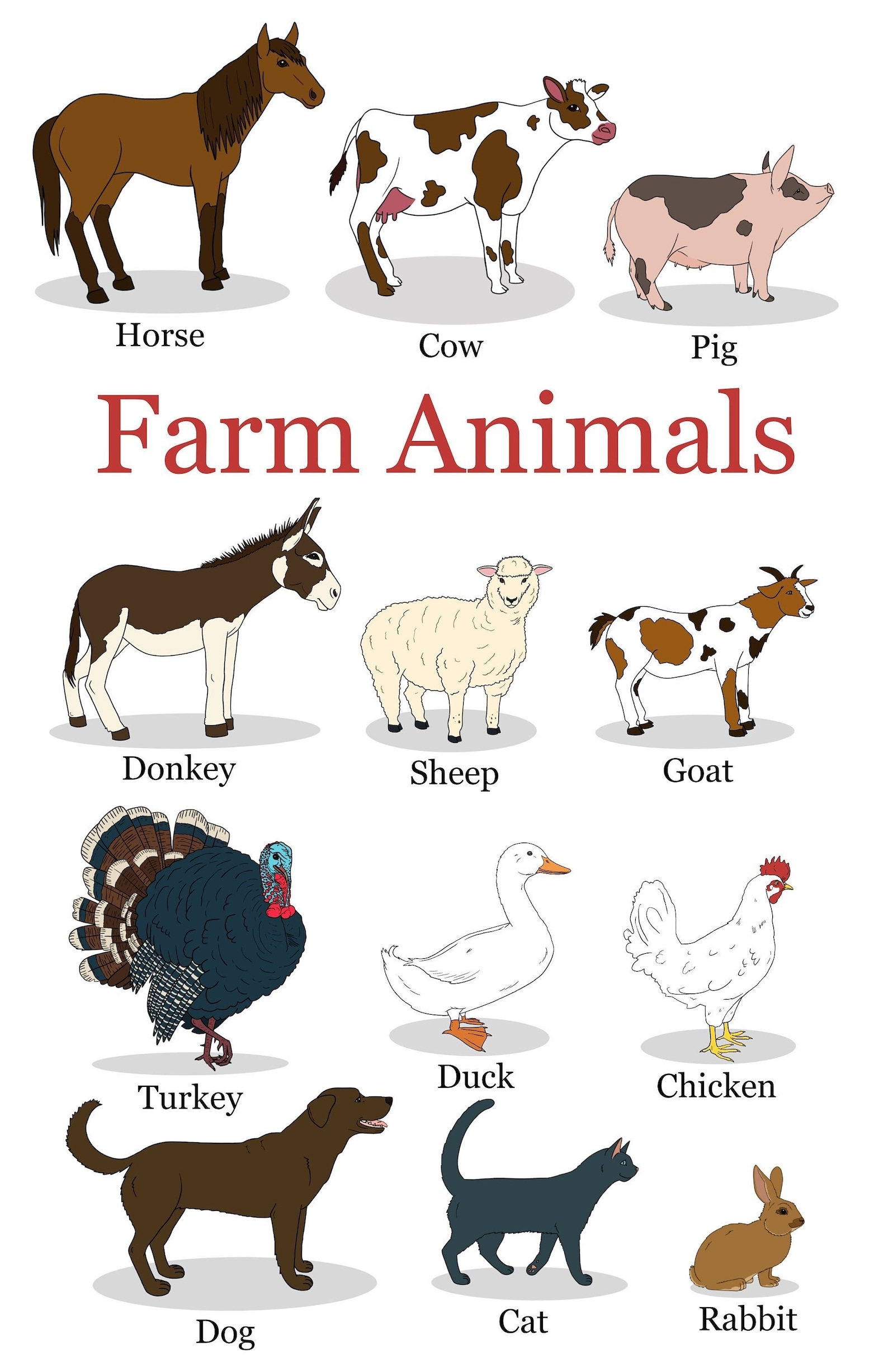Farm Animals Classroom Poster Instant Download Printable 11x17 ...