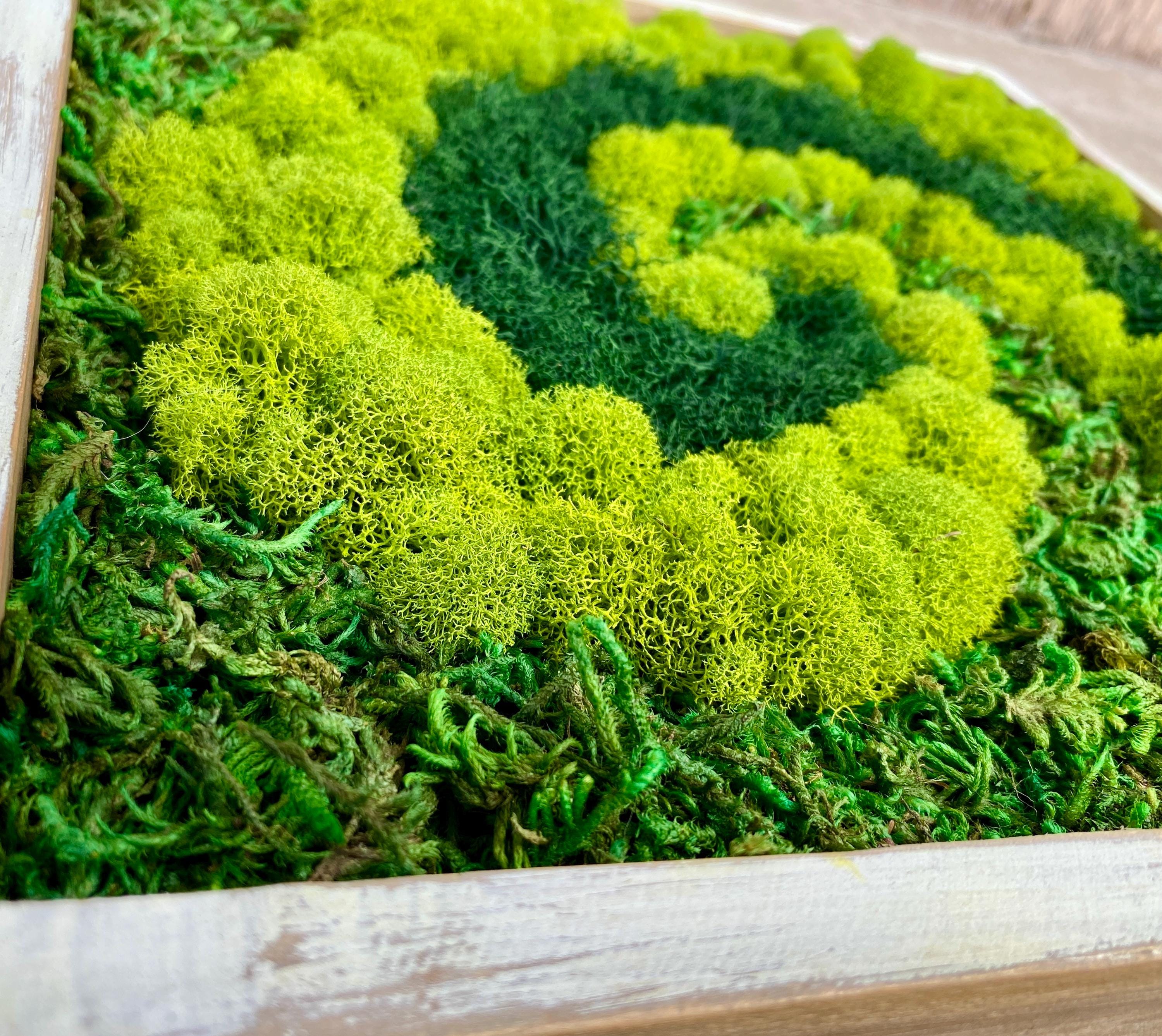 Framed Moss Art Wall Decor 12.5 X 12.5 X 2 Handmade Preserved Moss ...