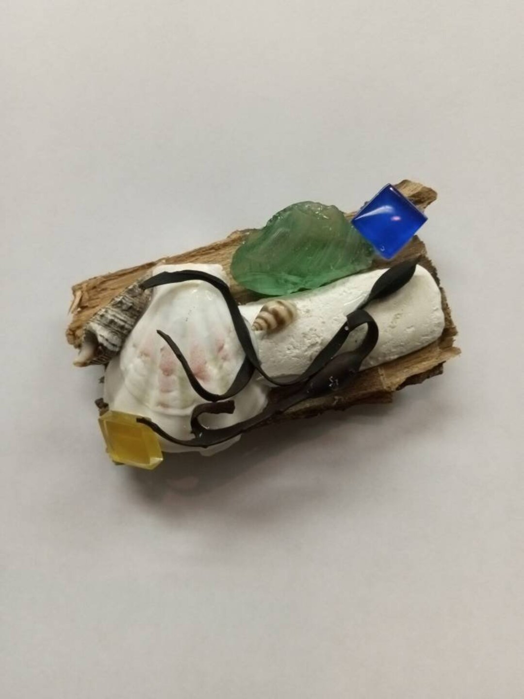 Natural Seashell & Seaweed Magnet - Etsy