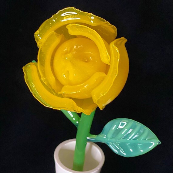 Yellow Rose Opacity Real Orange Flower Rose Transparent Background