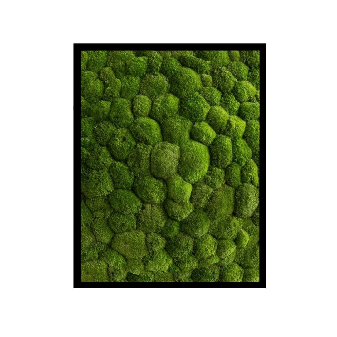 Rectangle Moss Picture Green Wall Art Decor Light Green Ball Moss ...