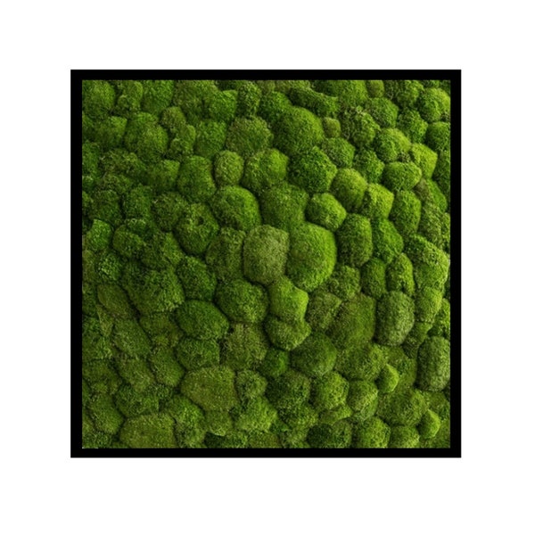 Moss Frame - Etsy