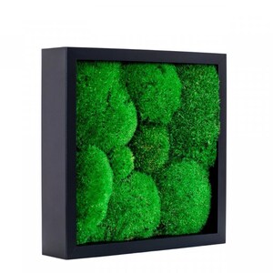 Square Moss Wall Art Framed Forest Green Ball Moss Wooden Frame Ball ...