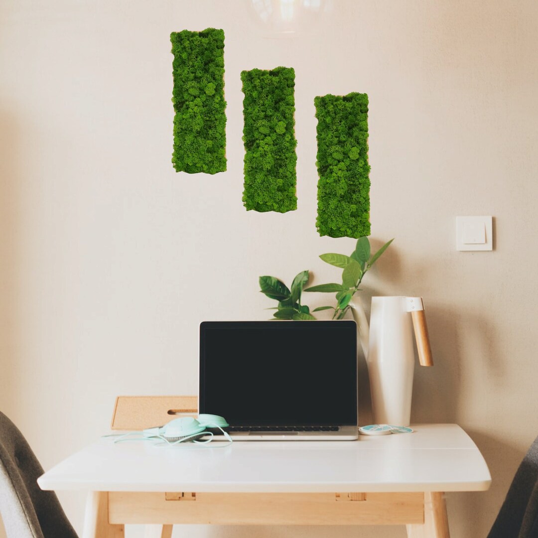 Green Preserved Moss Frame / Tray Moss Wall Green Wall Art Preserved ...